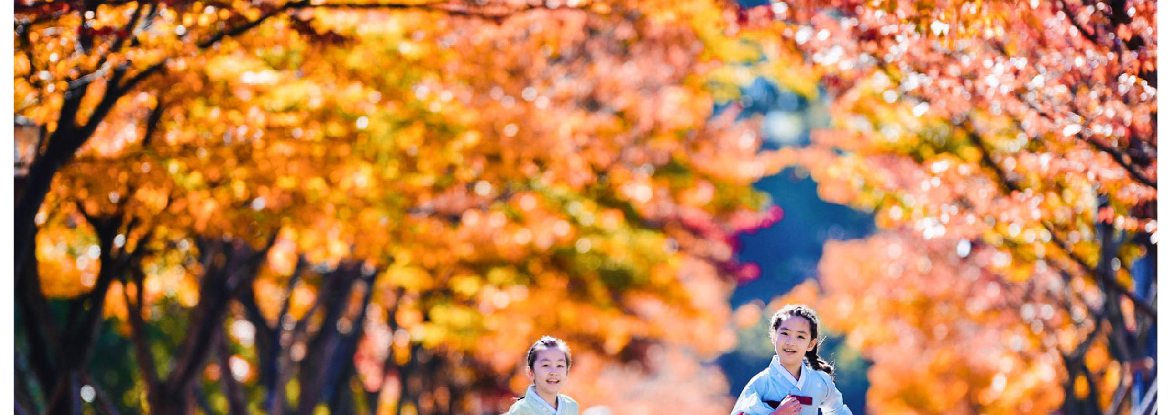 Memorable Autumn Foliage Day Tour from Busan - Klook